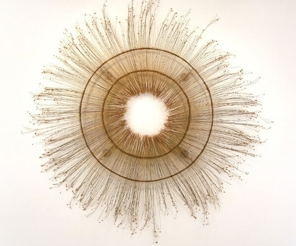 Place, Fibre, and Form with Alice Fox