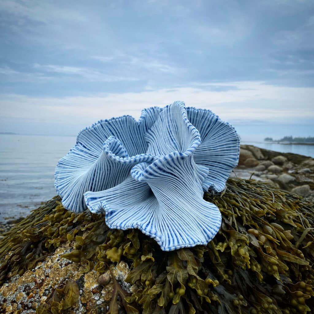 Jeannet Leendertse | Fibre Arts Take Two