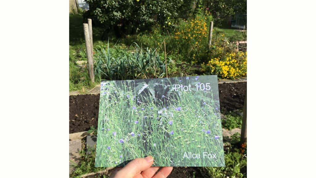 Alice Fox | Fibre Arts Take Two