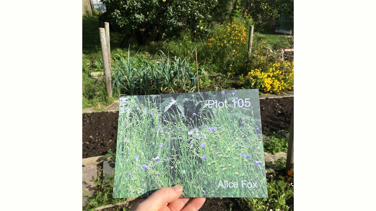 Alice Fox | Fibre Arts Take Two